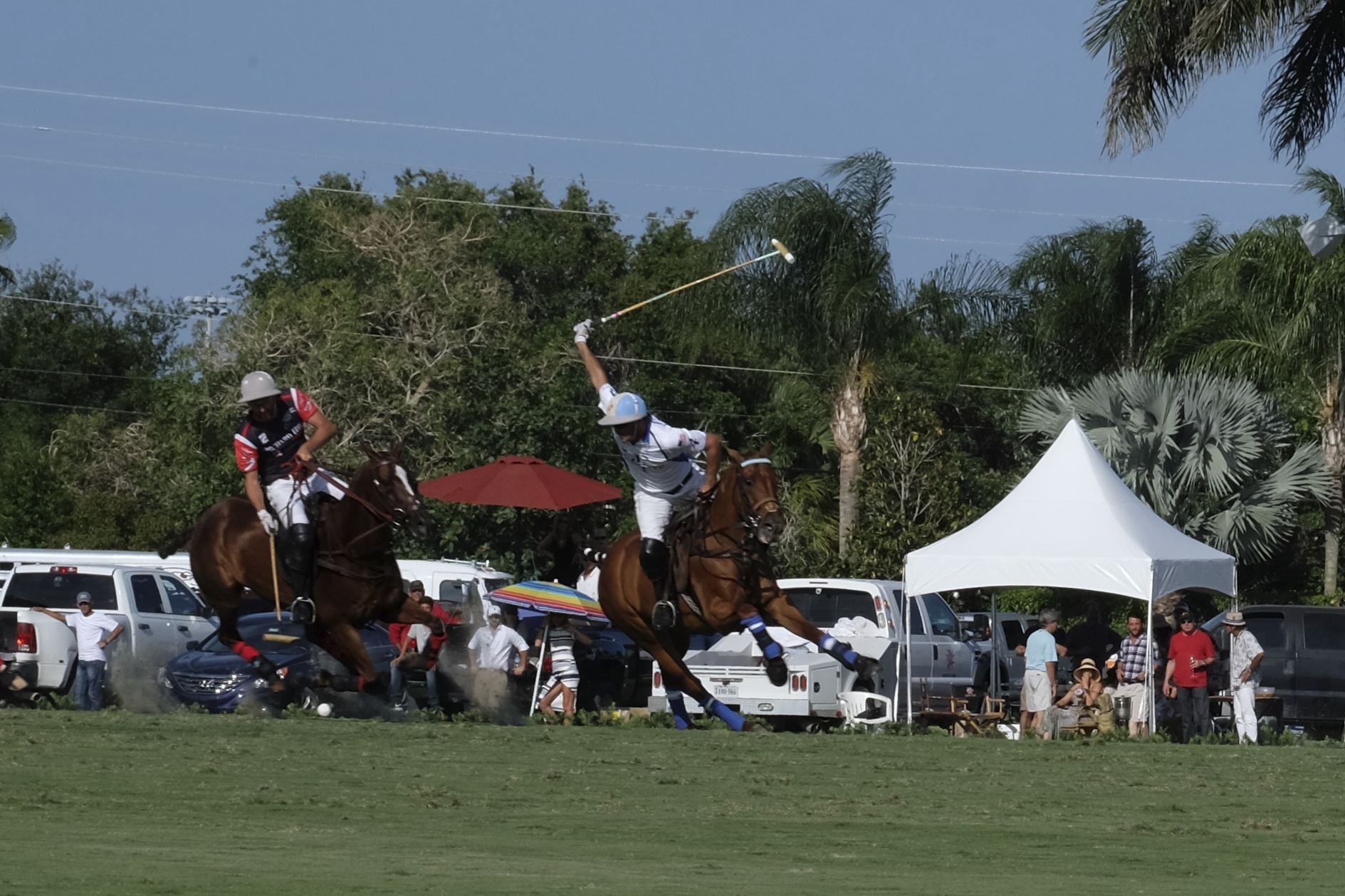 112th US Open Polo Championship Facts and Stats - Polo, People and Places